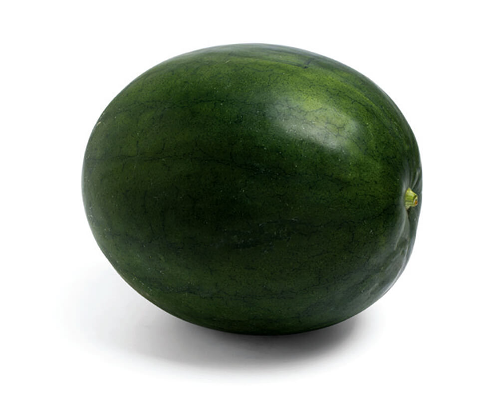 Watermelon | Hansa Seed