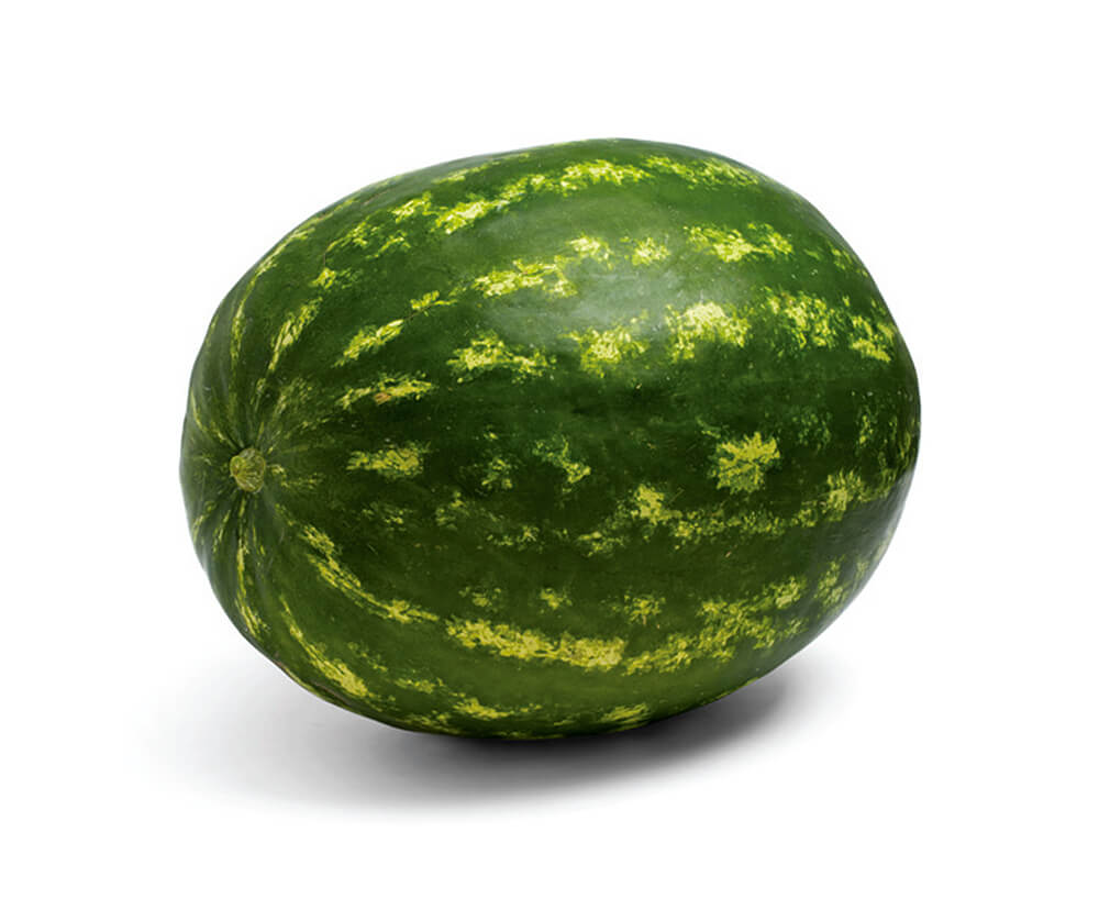 Watermelon | Hansa Seed