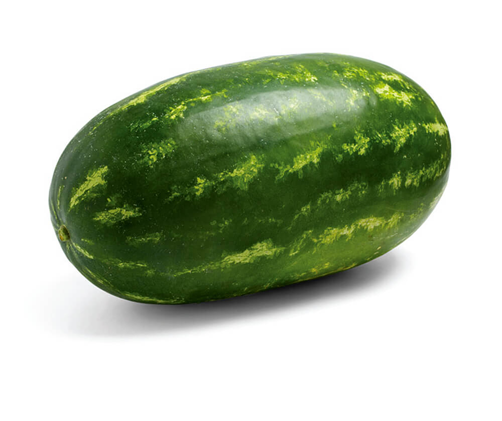 Watermelon | Hansa Seed